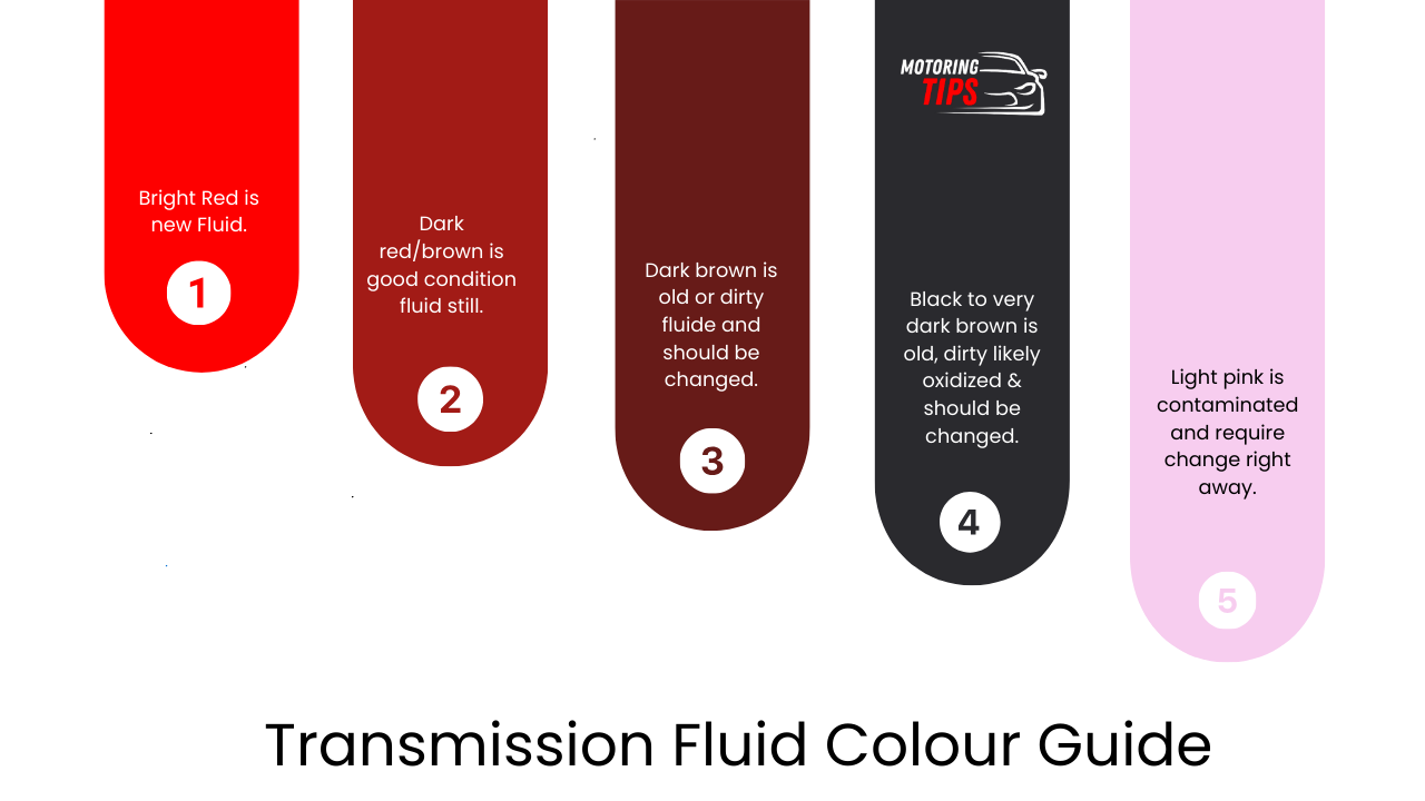 What Color Is Transmission Fluid - MotoringTips